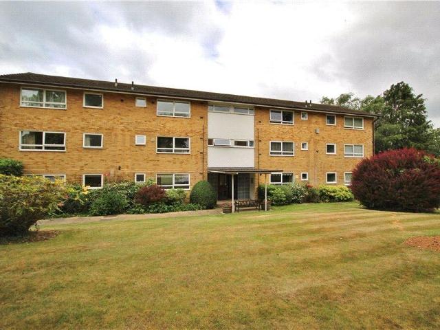 3 bedroom apartment to rent