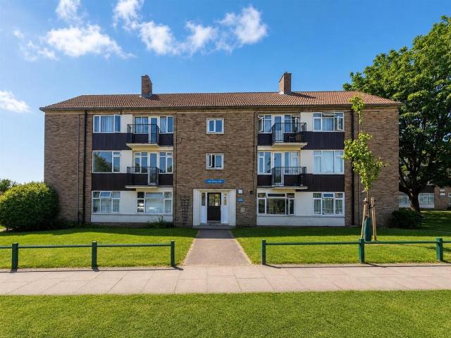 3 bedroom apartment to rent