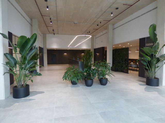 3 bedroom apartment to rent