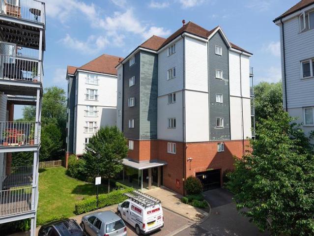 3 bedroom apartment to rent