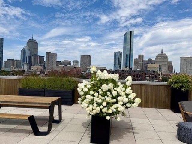 3 bedroom, Boston MA 02118 105061305