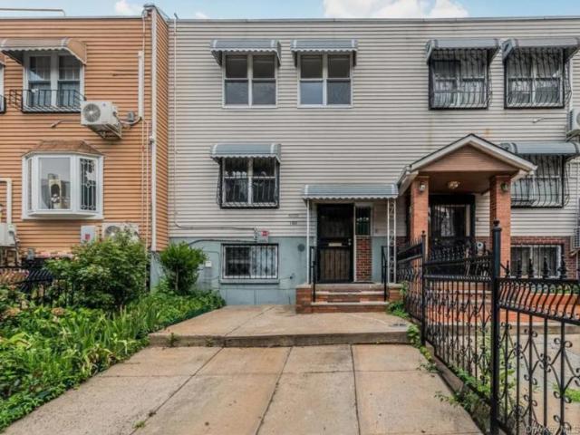3 bedroom, BRONX NY 10459 104686555