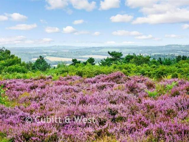 3 Bedroom Bungalow East Sussex East Sussex 101675280