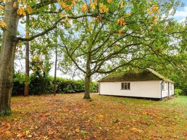 3 bedroom bungalow for rent in Coxs Lane Upper Bucklebury RG7