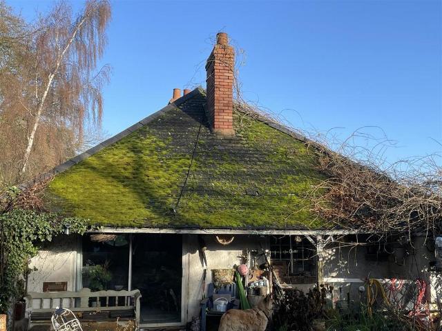 3 bedroom bungalow for sale