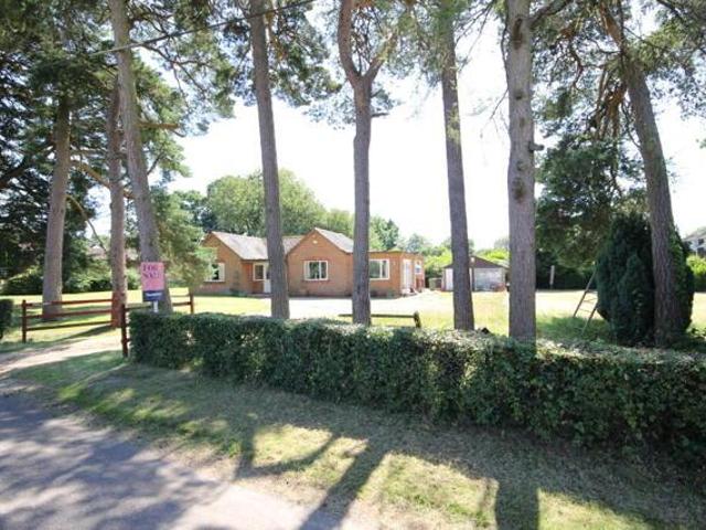 3 Bedroom Bungalow Hampshire Hampshire 99130250