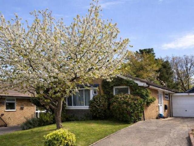 3 Bedroom Bungalow Midhurst West Sussex LS101316110