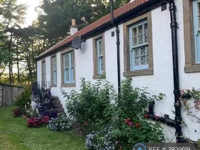 3 bedroom bungalow to rent