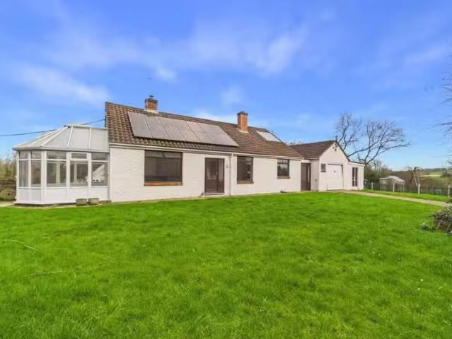 3 bedroom detached bungalow for rent in Trent Lane, Kings Newt.