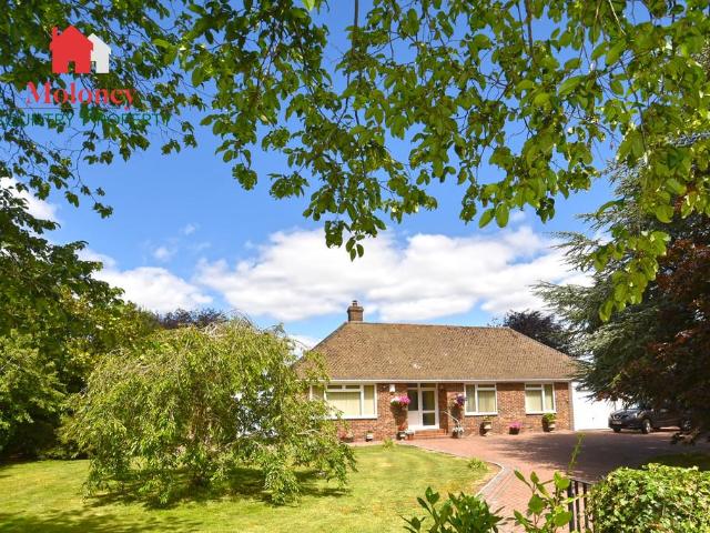 3 bedroom detached bungalow for sale