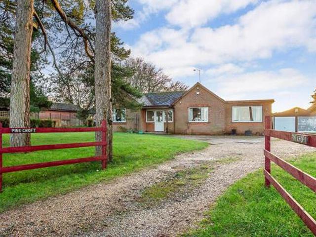 3 Bedroom Detached Bungalow For Sale In Medstead