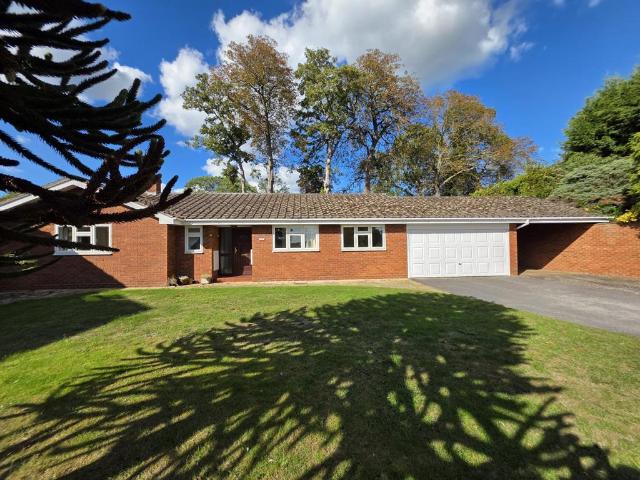 3 bedroom detached bungalow to rent