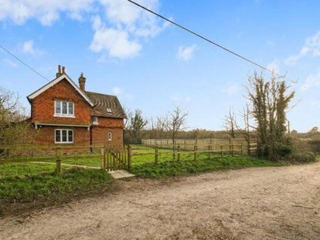 3 Bedroom Detached House For Rent In Hatchlands