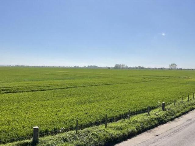 3 Bedroom Detached House For Sale In Burmarsh, Romney Marsh
