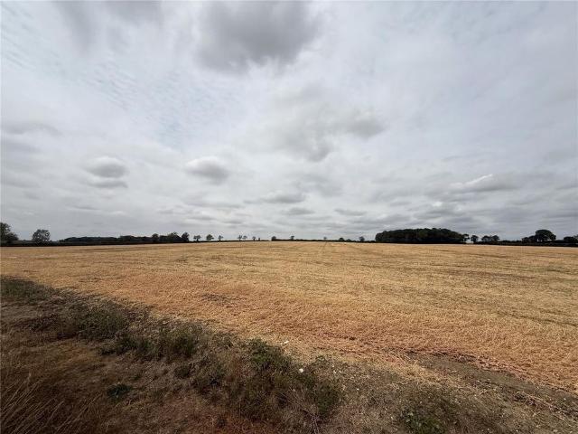 3 bedroom detached house to rent