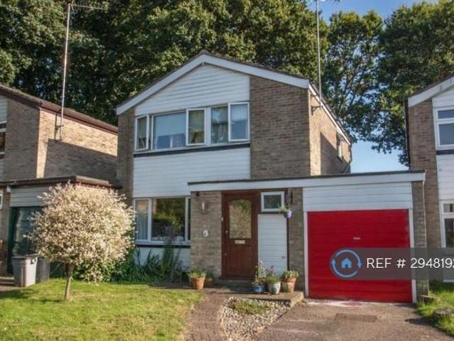 3 bedroom detached house to rent