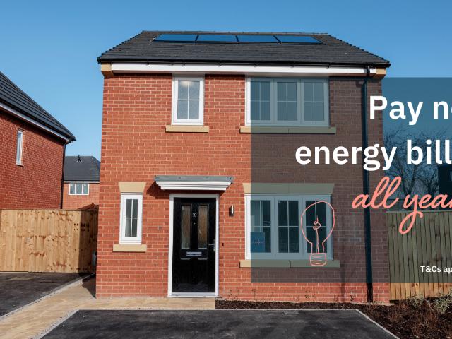 3 bedroom detached house to rent