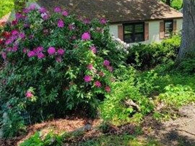 3 bedroom, East Haddam CT 06415 105175391