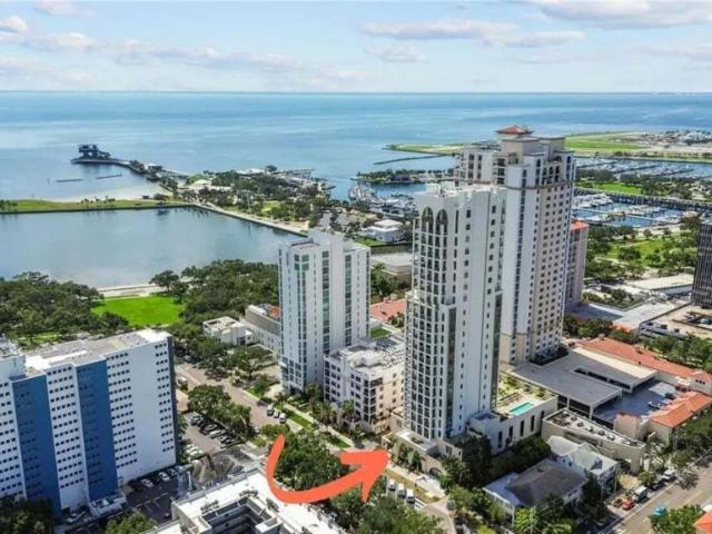 3 bedroom, FL FL 33701 102658880
