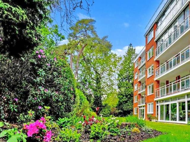 3 Bedroom Flat