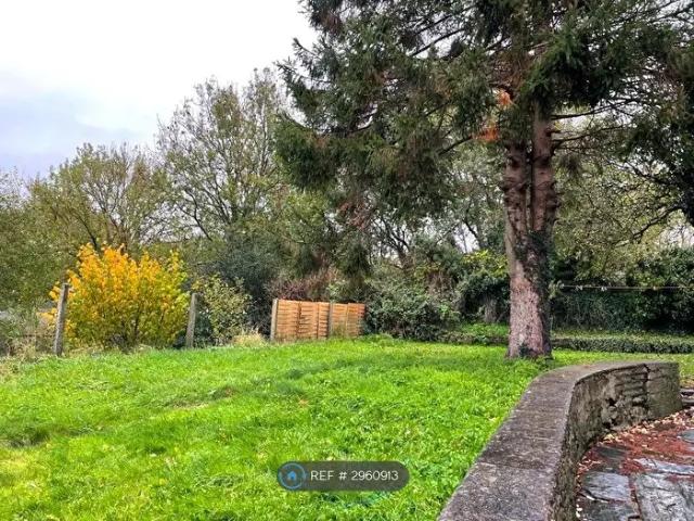 3 Bedroom Flat To Rent In Bridge Street, Newcastle Emlyn, SA38
