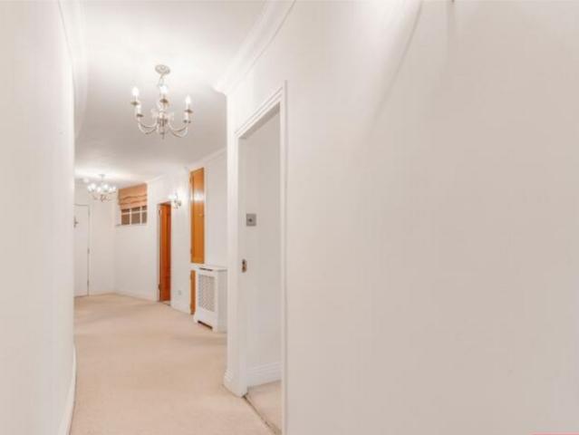 3 bedroom flat to rent