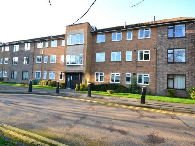 3 bedroom flat to rent
