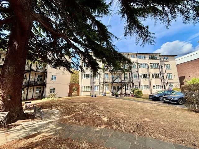 3 bedroom flat to rent
