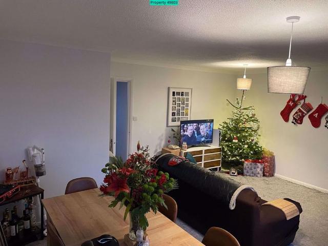 3 bedroom flat to rent