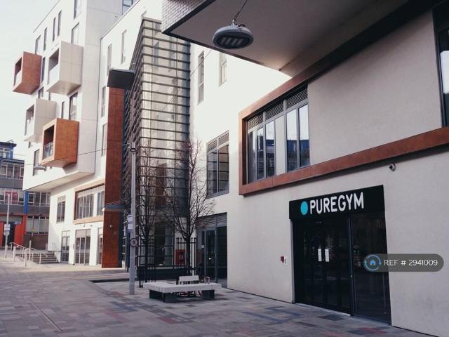 3 bedroom flat to rent
