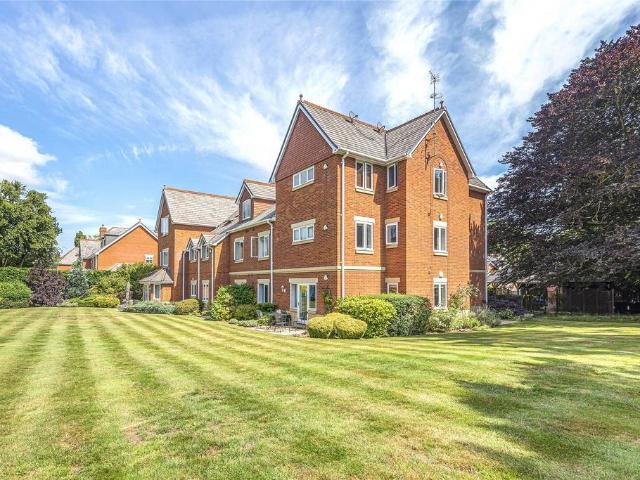 3 bedroom flat to rent