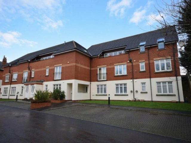 3 bedroom flat to rent