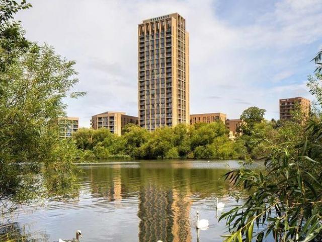 3 bedroom flat to rent