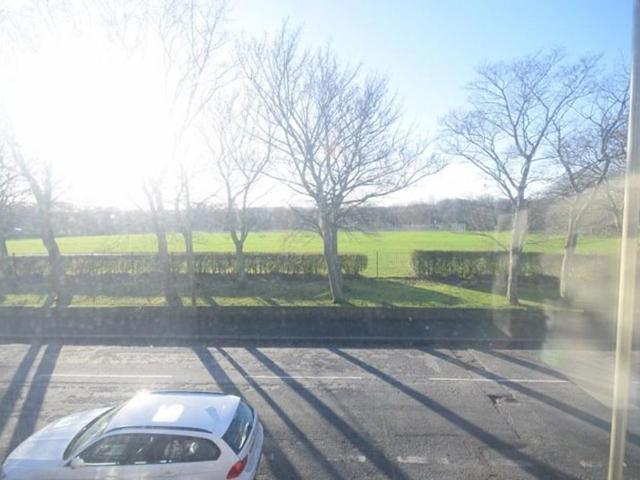 3 bedroom flat to rent