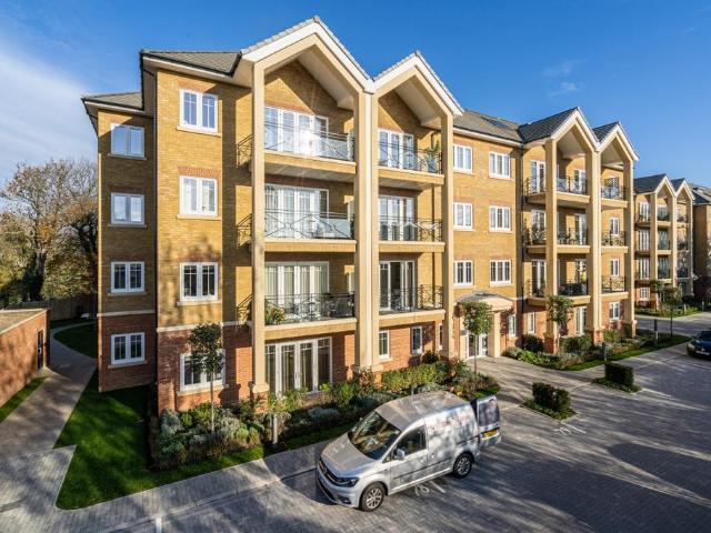 3 bedroom flat to rent