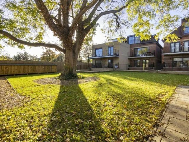 3 bedroom flat to rent