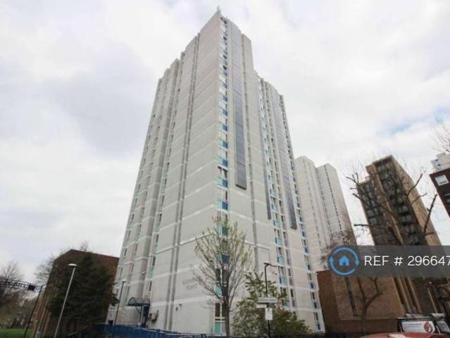 3 bedroom flat to rent