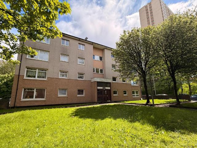 3 bedroom flat to rent