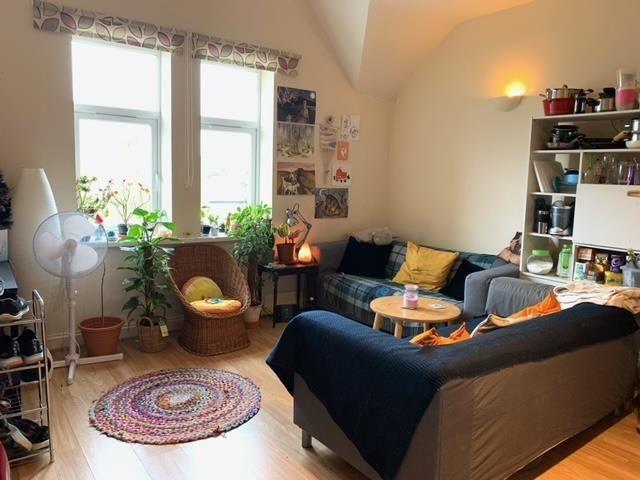 3 bedroom flat to rent