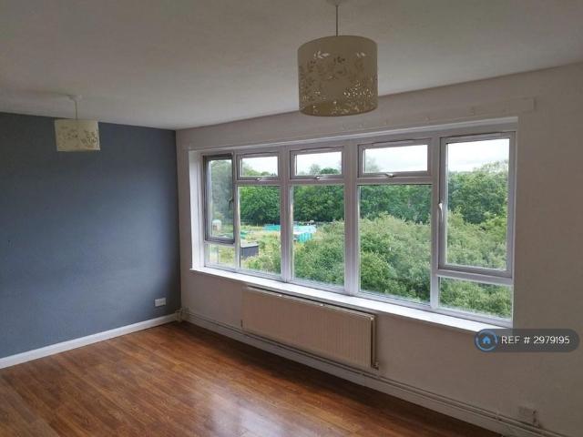 3 bedroom flat to rent