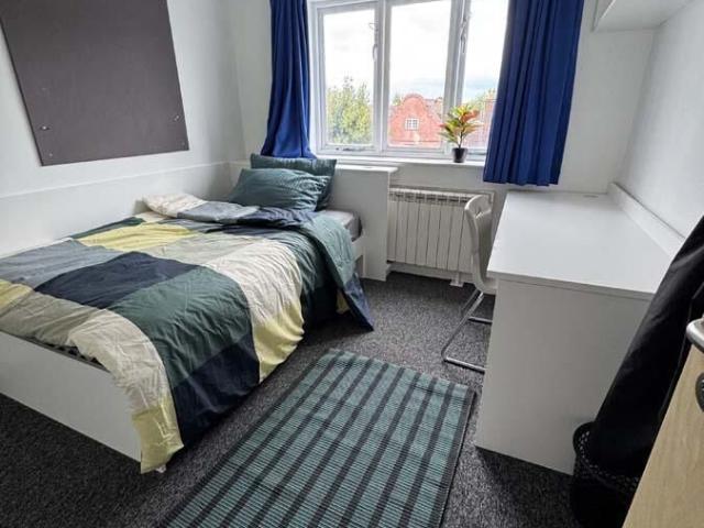 3 bedroom flat to rent