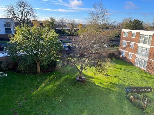 3 bedroom flat to rent