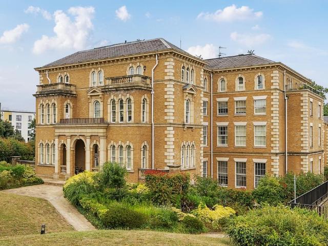 3 bedroom flat to rent