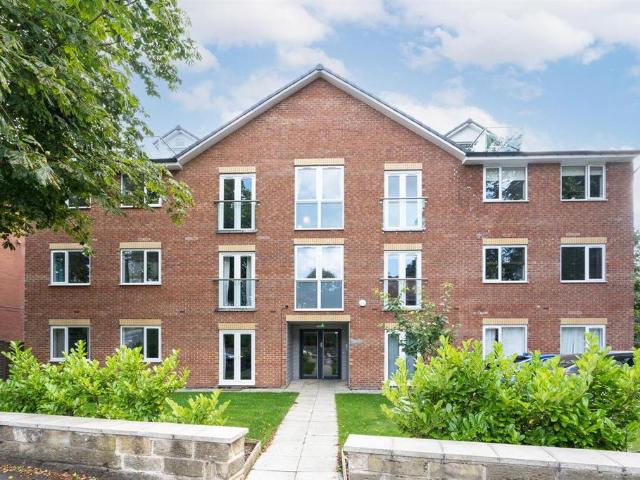 3 bedroom flat to rent