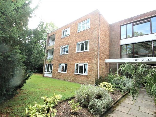 3 bedroom flat to rent