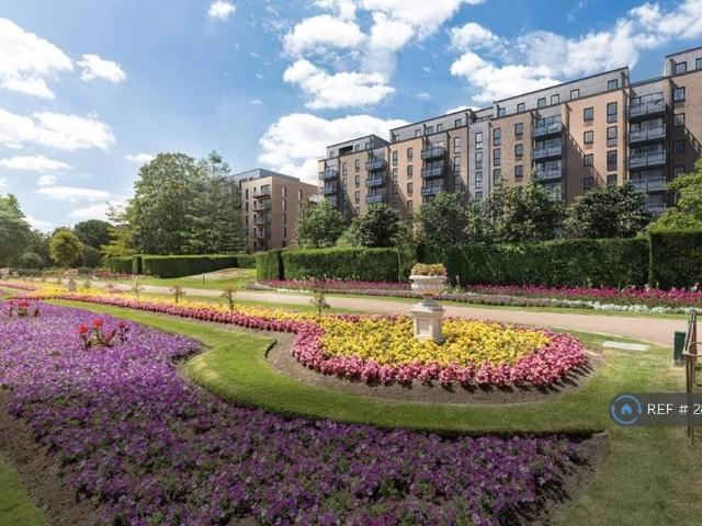 3 bedroom flat to rent
