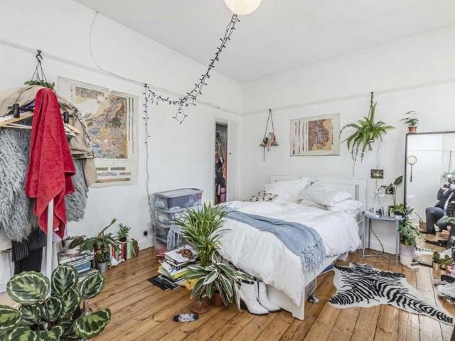 3 bedroom flat to rent