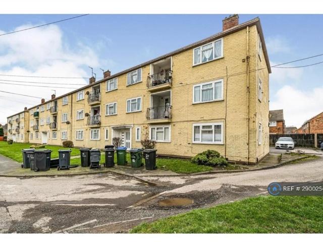 3 bedroom flat to rent
