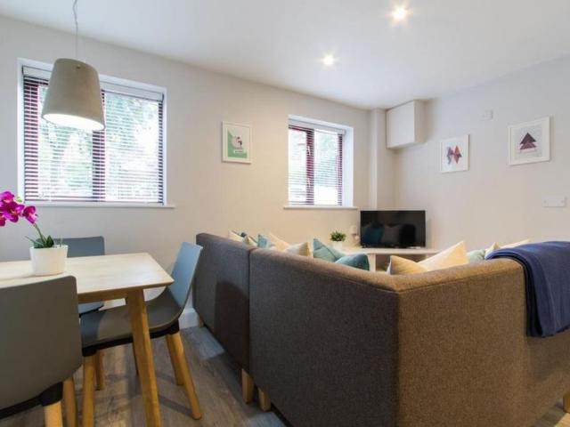 3 bedroom flat to rent