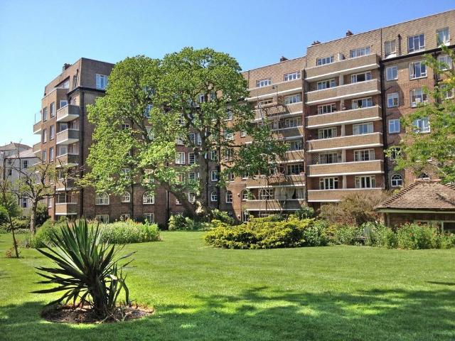 3 bedroom flat to rent